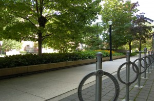 St. George Street Revitalization